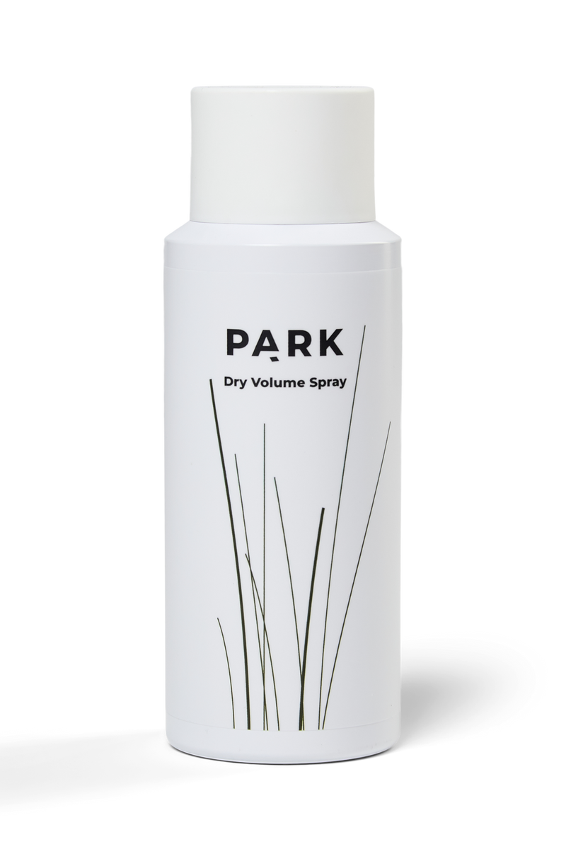 Dry Volume Spray - Volume and care for all hair types (Travel size ...